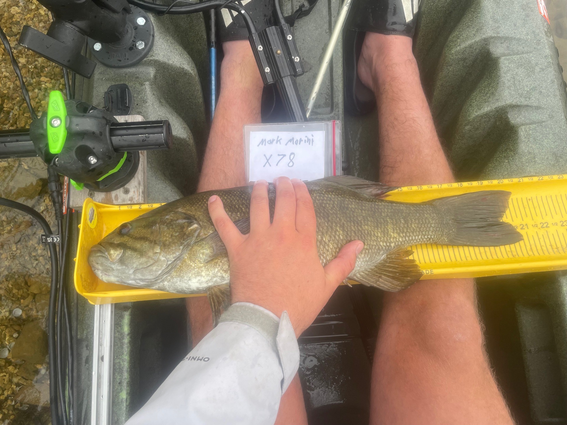 Mark Marini Angler Profile