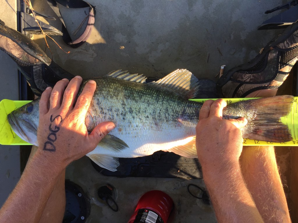 Joshua Massey Angler Profile