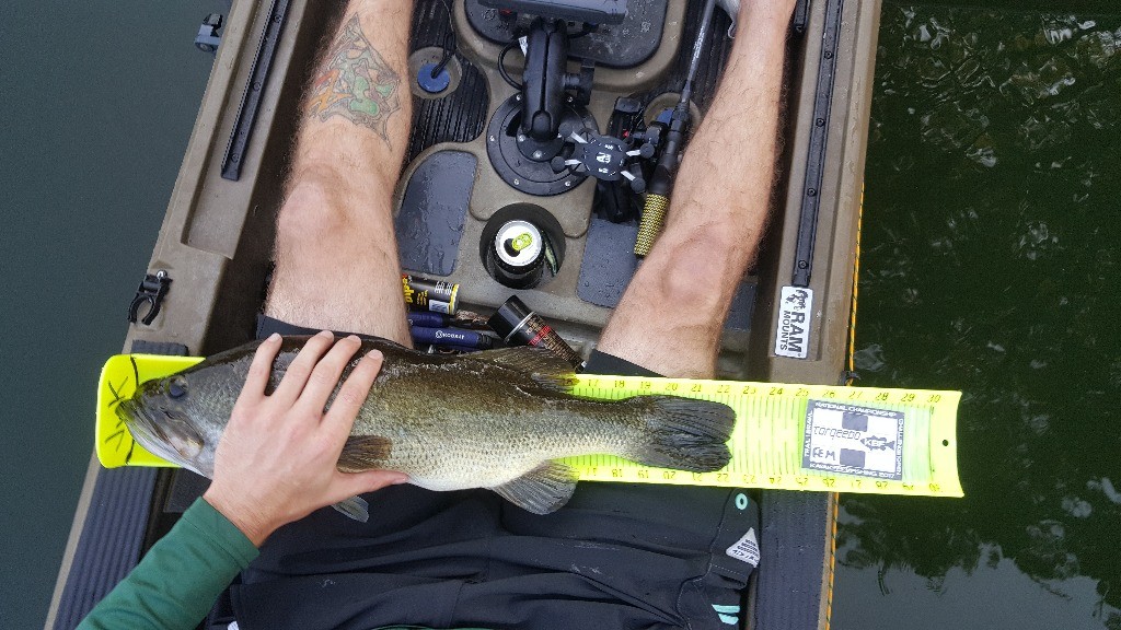 Jason Knowles Angler Profile