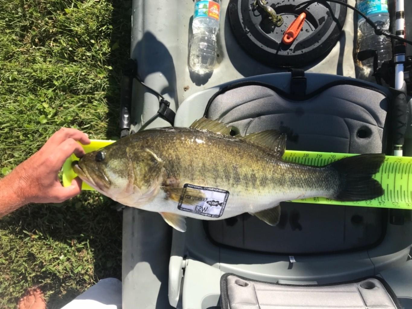 Ryan Sperling Angler Profile