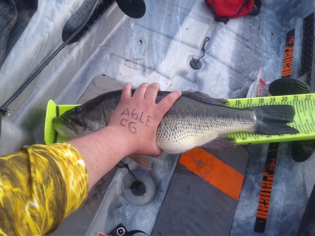 justin winnie Angler Profile