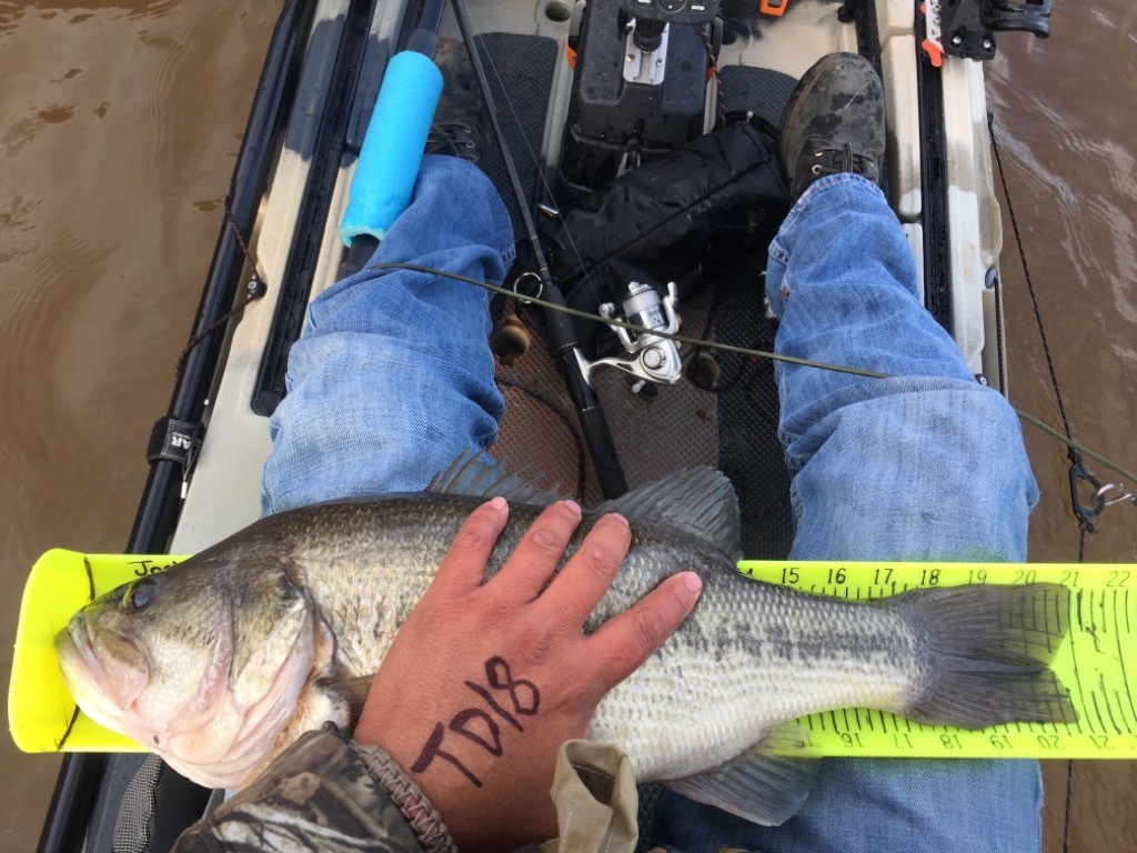 Joshua Lowery Angler Profile