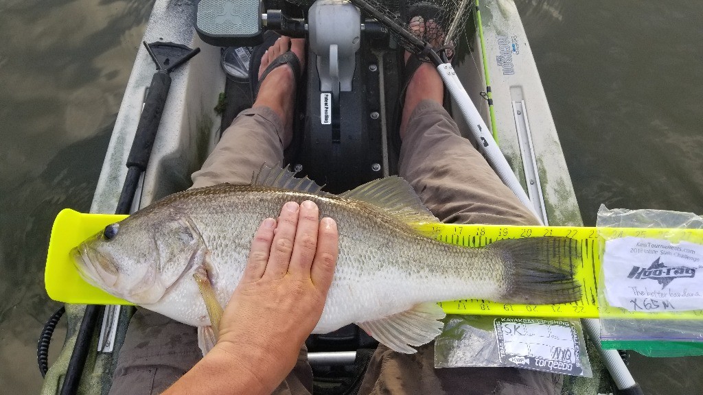 Mark wheeler Angler Profile