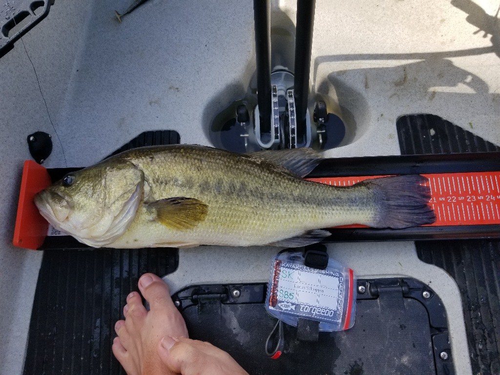 James Schopper Angler Profile