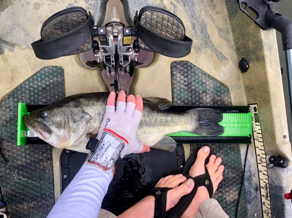 Mark Christman Angler Profile