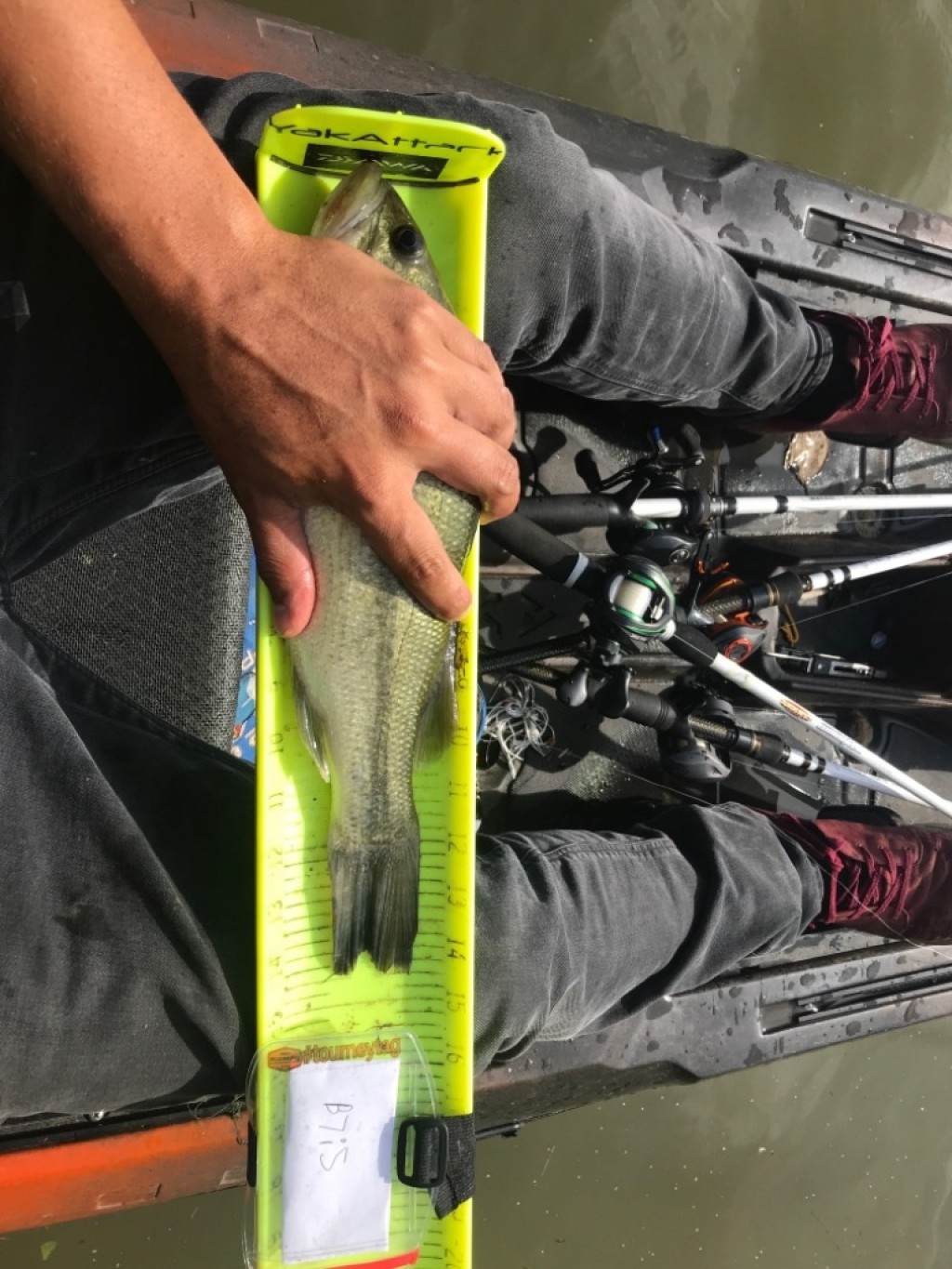 Joshua Sharp Angler Profile