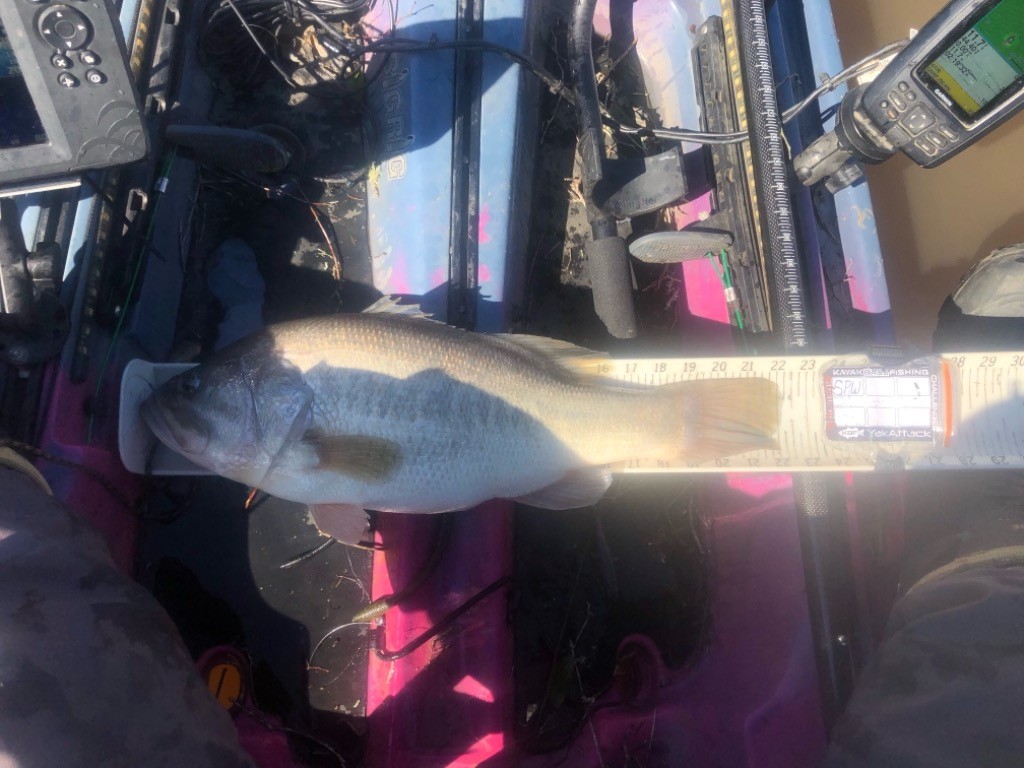 Allen Starling Angler Profile