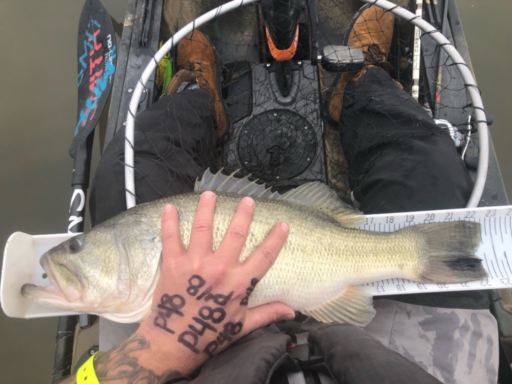 Beau Reed Angler Profile