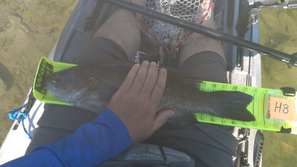 Bryan Hoopes Angler Profile