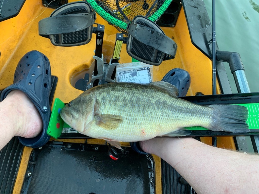 Adam Rourke Angler Profile