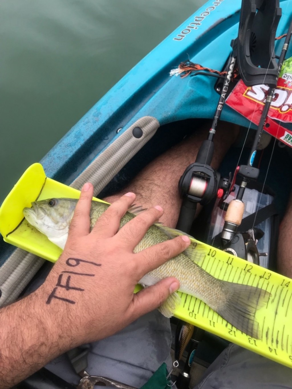 Jessy Grace Angler Profile