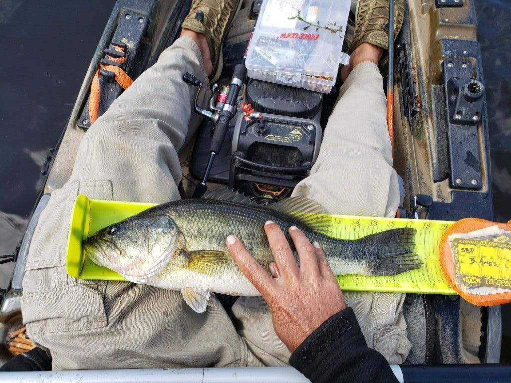 Brandon Amos Angler Profile