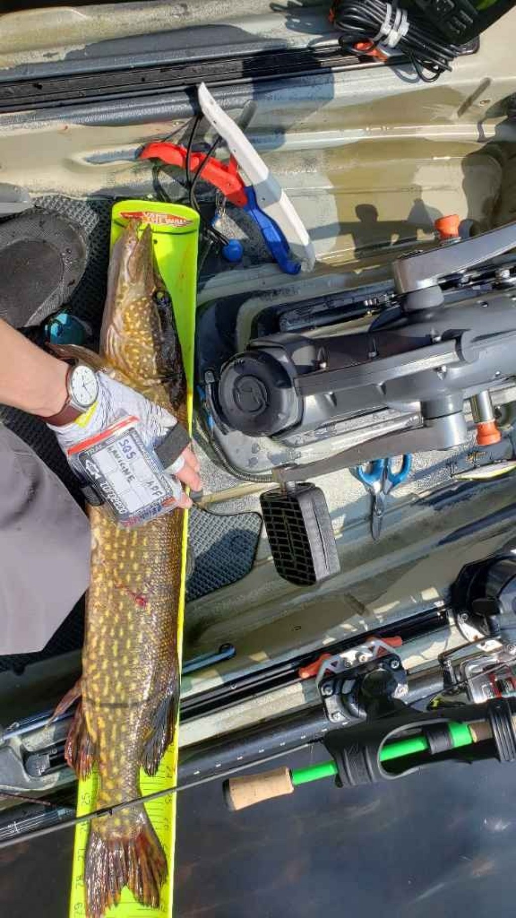 Ryan Lavigne Angler Profile