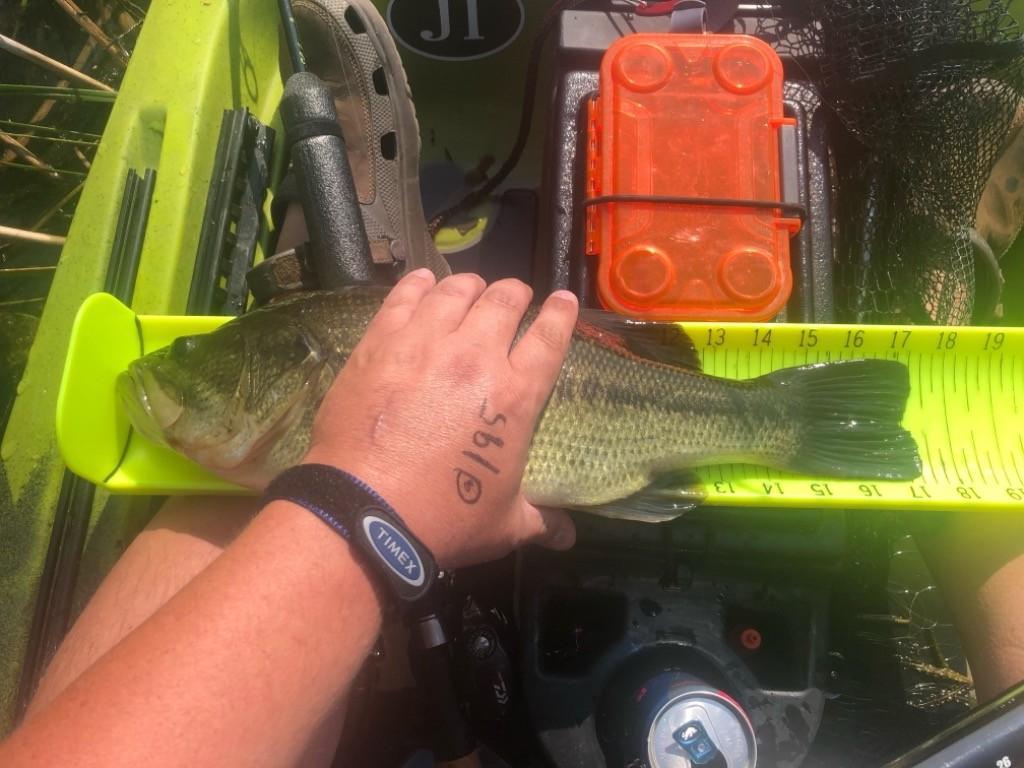 Wayne Smith Angler Profile