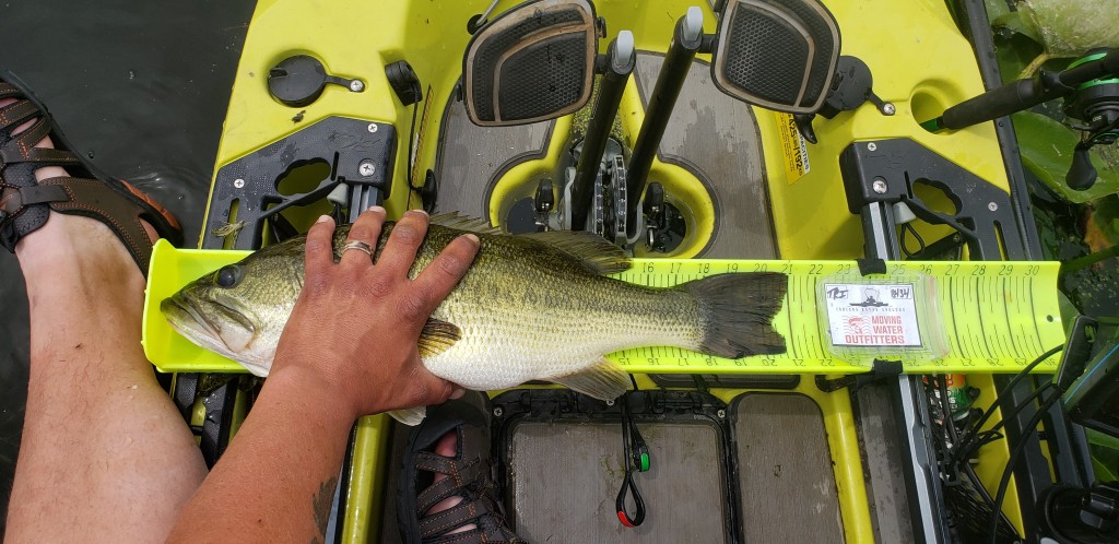 Eric Stansberry Angler Profile