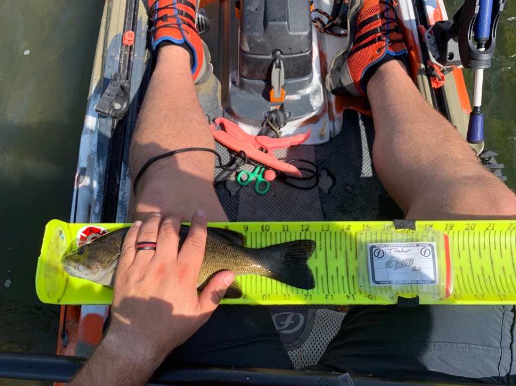 Michael Tincher Angler Profile