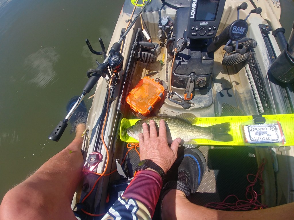 Danny Sayers Angler Profile