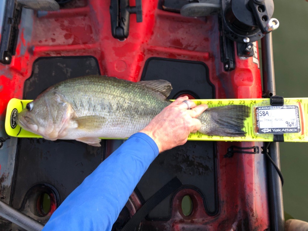 Jason Alford Angler Profile