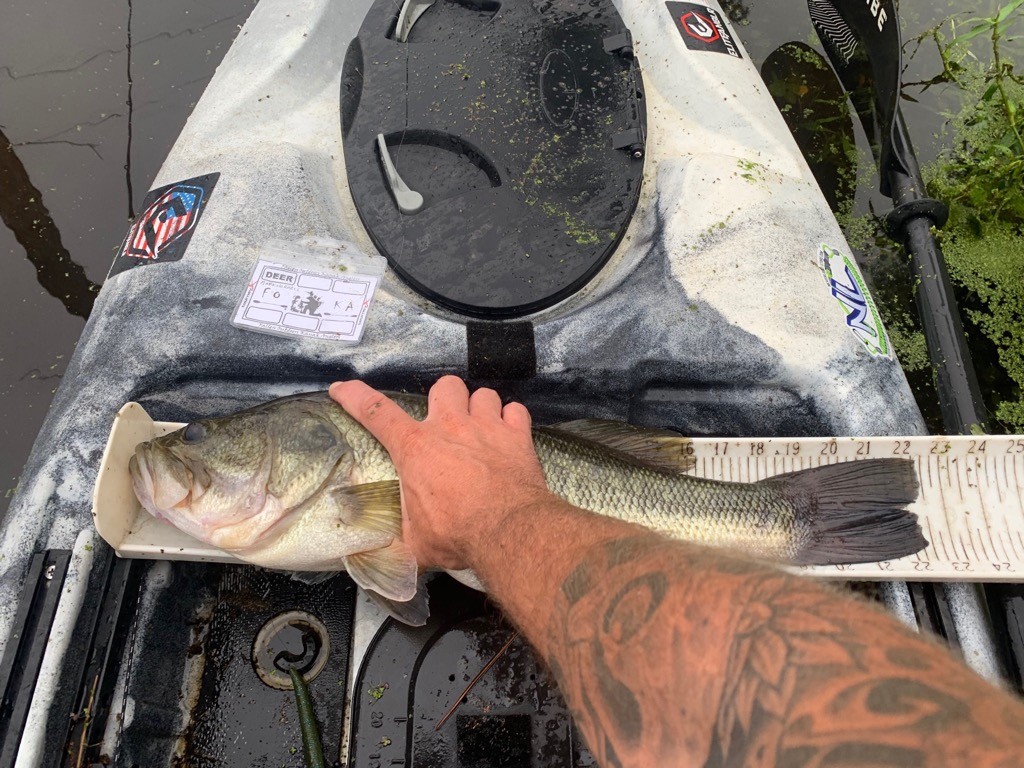 Mark Horrell Angler Profile