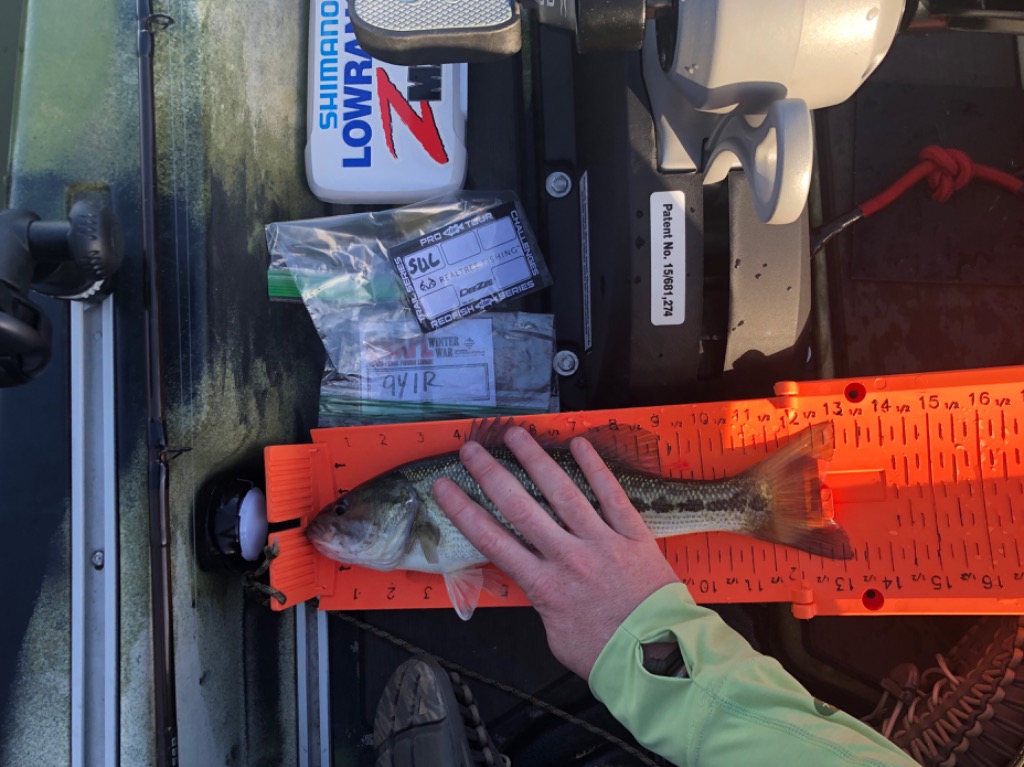 Josh Bolz Angler Profile