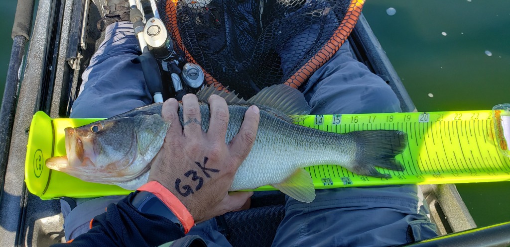 Michael Fiorenza Angler Profile