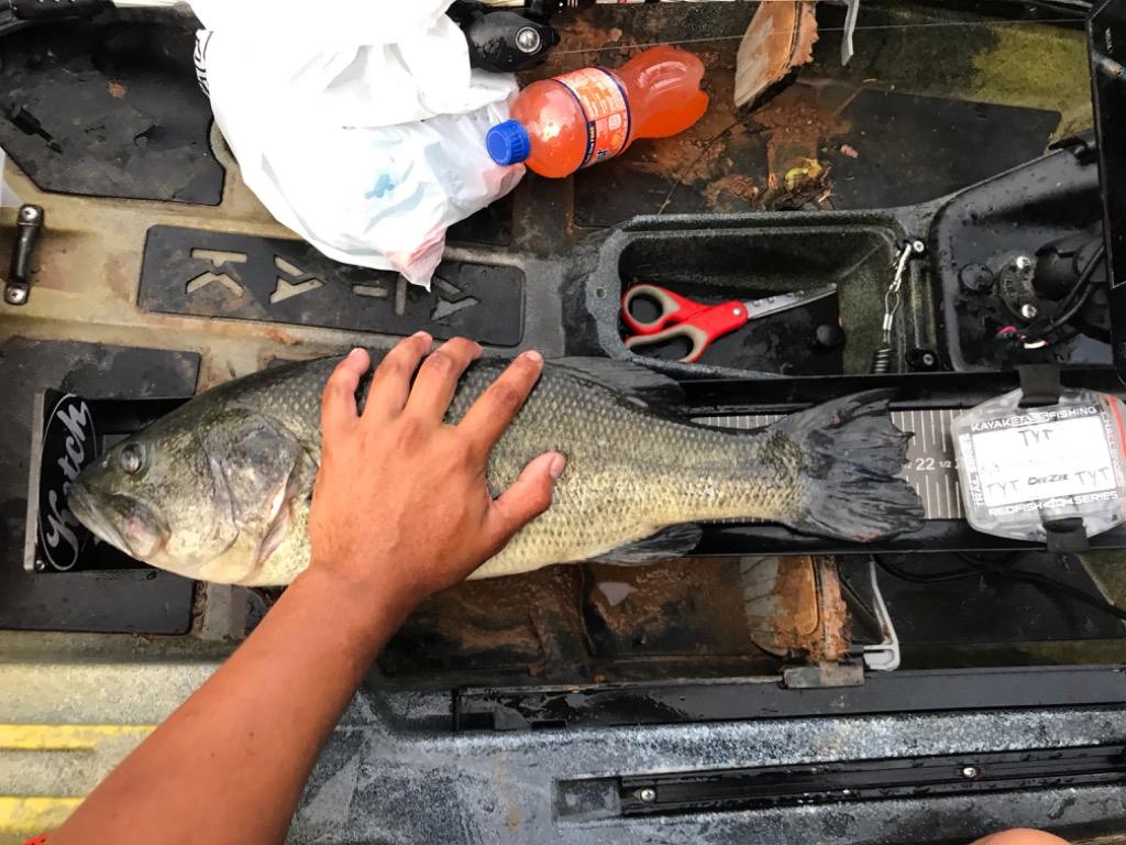 Joshua Sharp Angler Profile