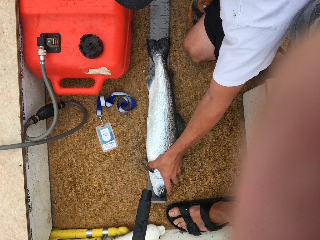 Kevin Tearle Angler Profile