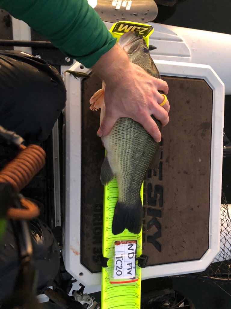 Ryan Killen Angler Profile