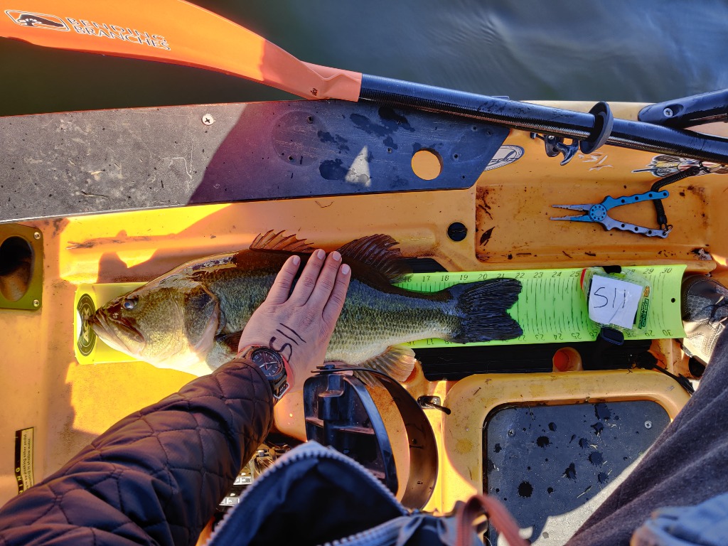 Joshua Wright Angler Profile