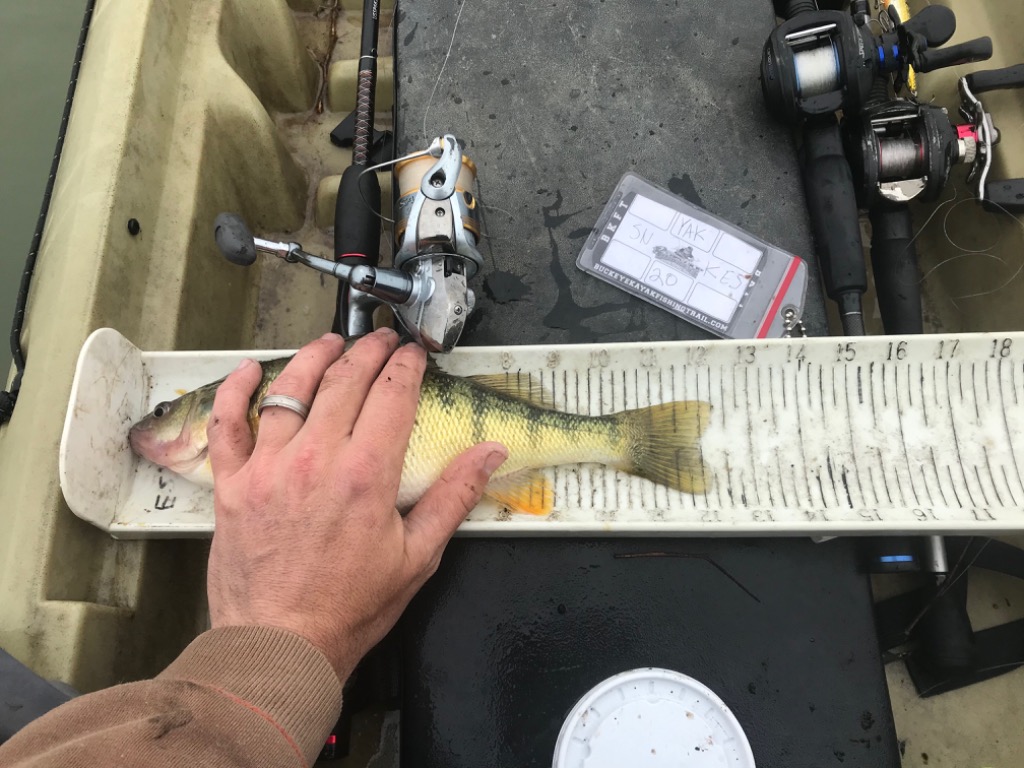 Logan Estep Angler Profile