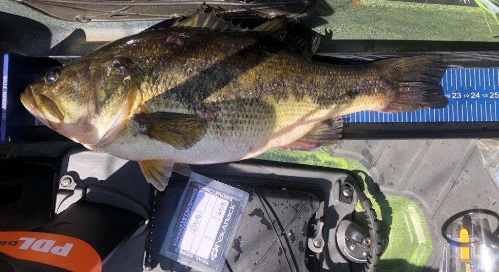 Brandon Fink Angler Profile