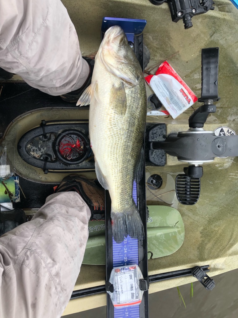 Adam Petrone Angler Profile