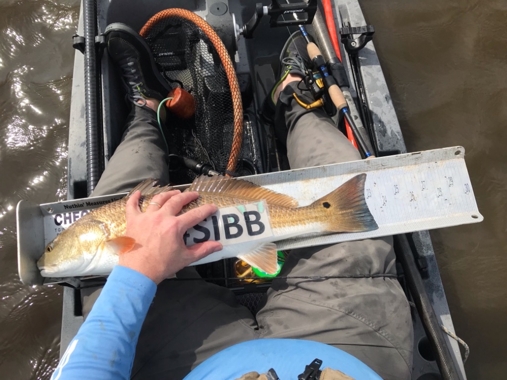 Chad Lyden Angler Profile