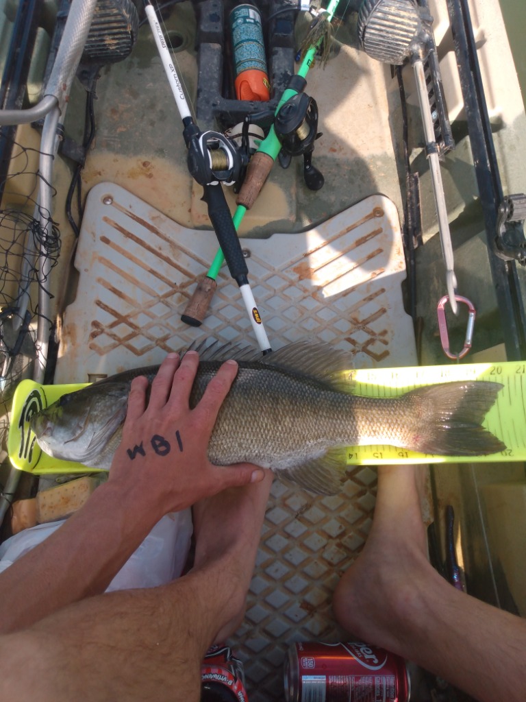 Joby Berry Angler Profile