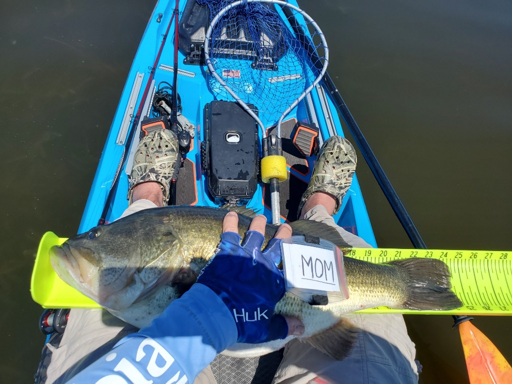 Charlie Greer Angler Profile