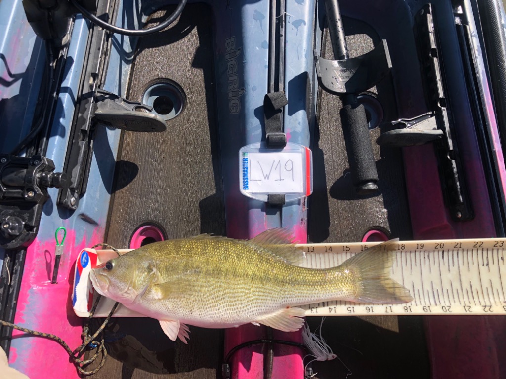 Allen Starling Angler Profile