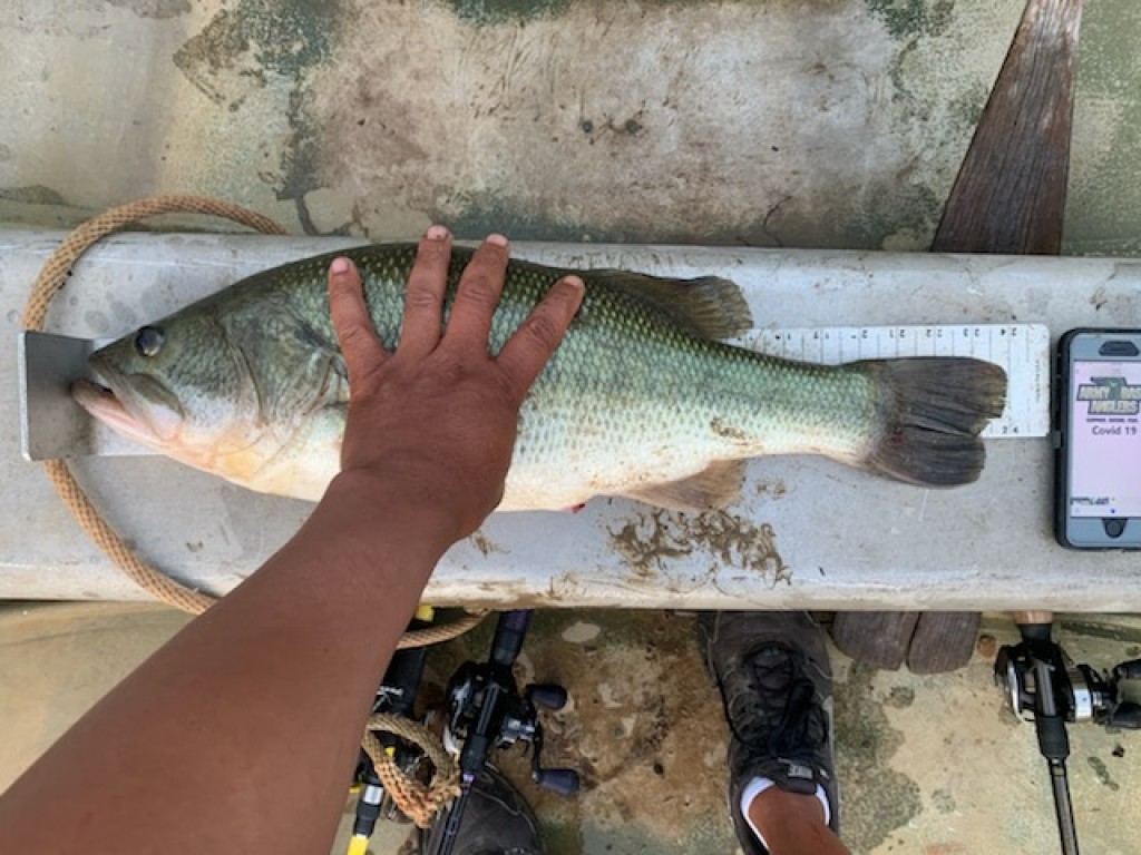 Bobby Davis Angler Profile