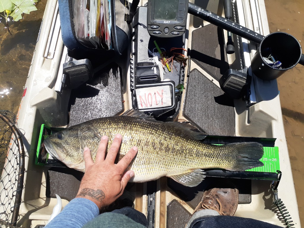 Josh Sharp Angler Profile