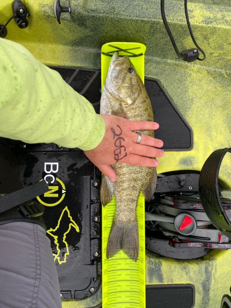 David Kehrer Angler Profile