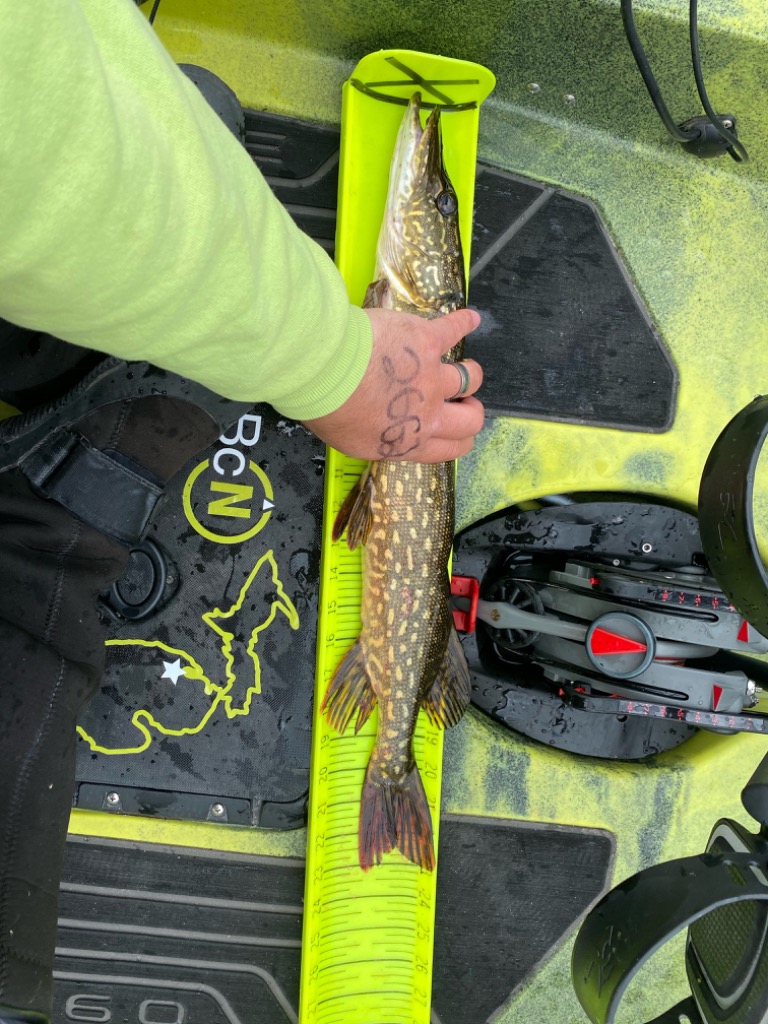 David Kehrer Angler Profile