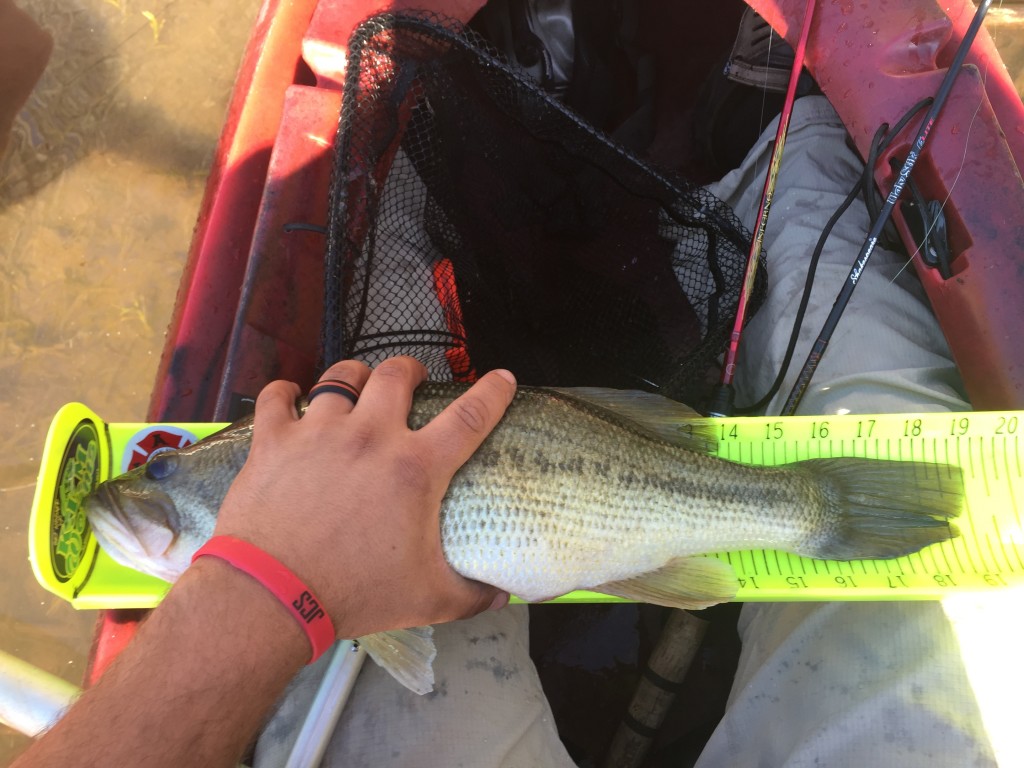 Michael Tincher Angler Profile