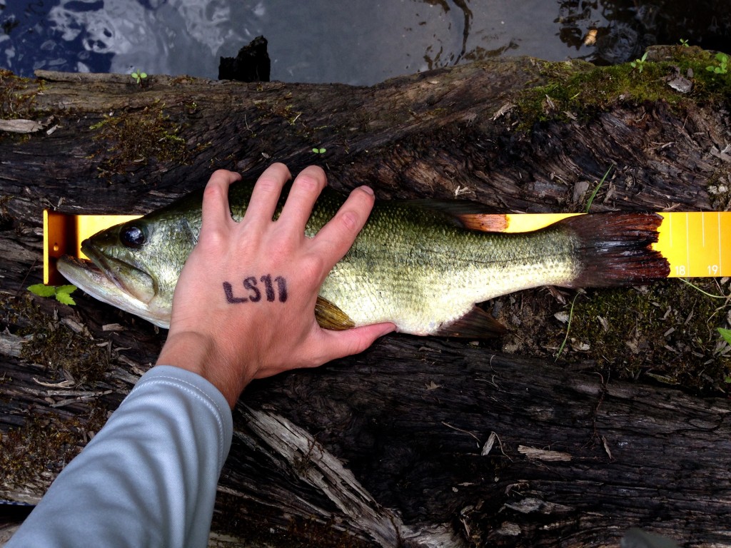 Benjamin Baxter Angler Profile