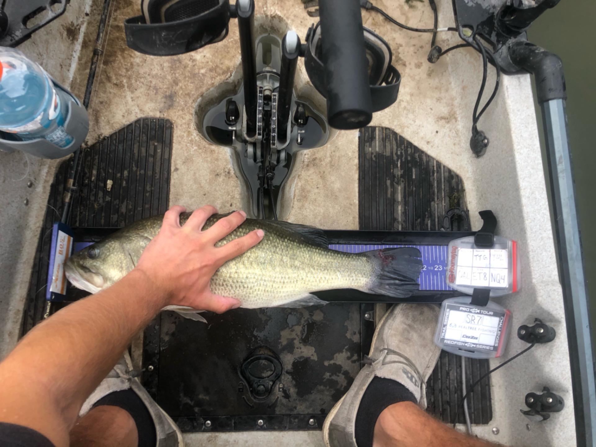 Mason Good Angler Profile