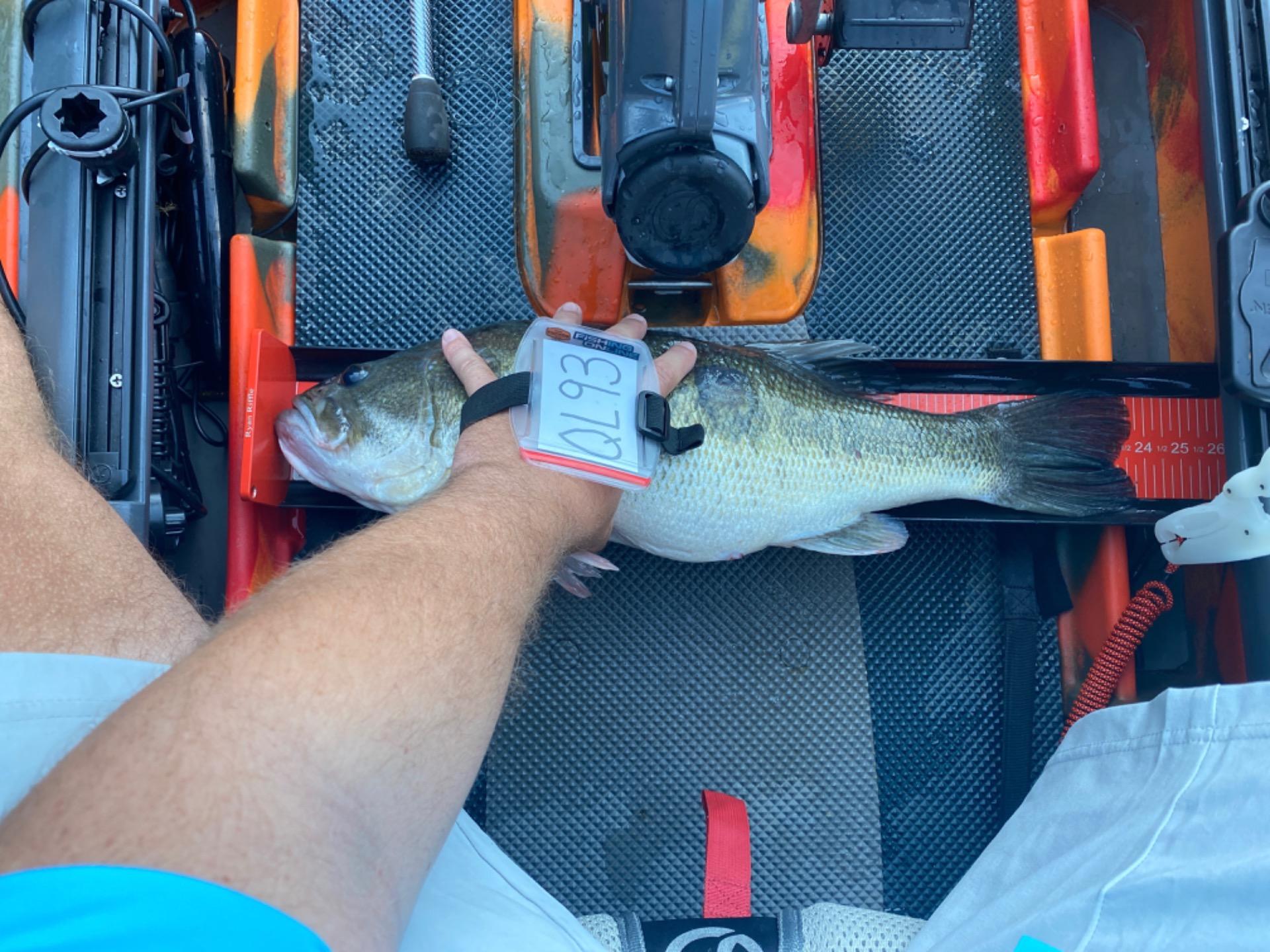 Ryan Riffle Angler Profile