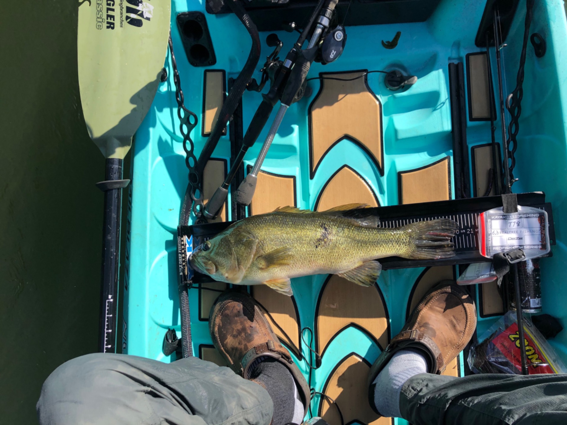 Josh Bolz Angler Profile