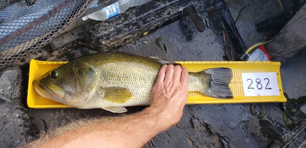 Andy Schafer Angler Profile